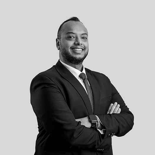 Experts | Moharram & Partners | Public Affairs & Strategic ...