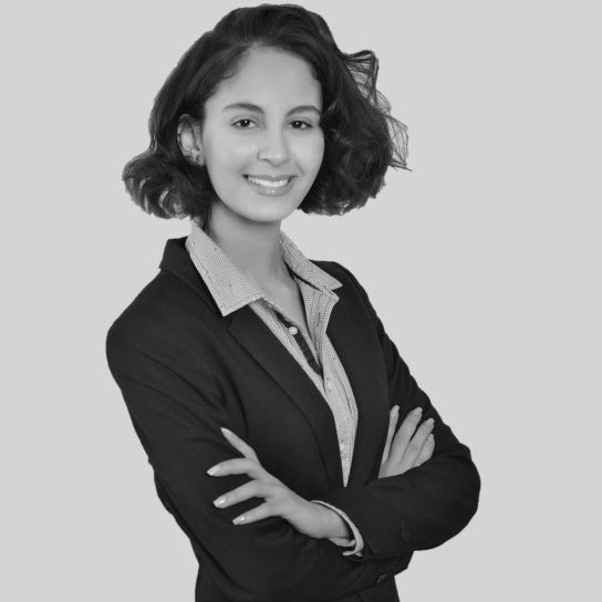 Experts | Moharram & Partners | Public Affairs & Strategic ...