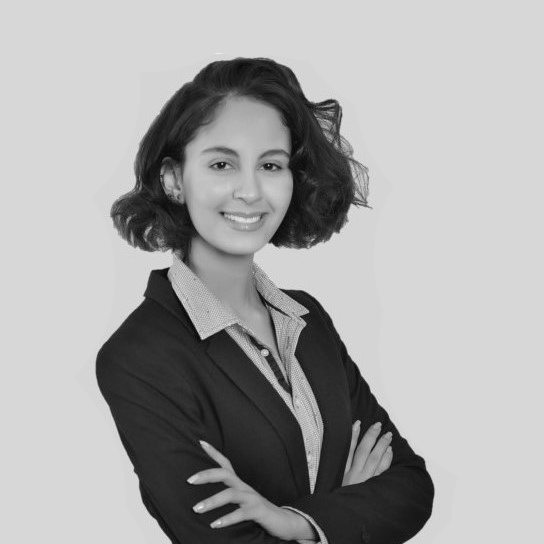 Experts | Moharram & Partners | Public Affairs & Strategic ...